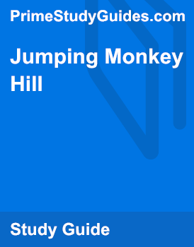 Jumping Monkey Hill | Summary